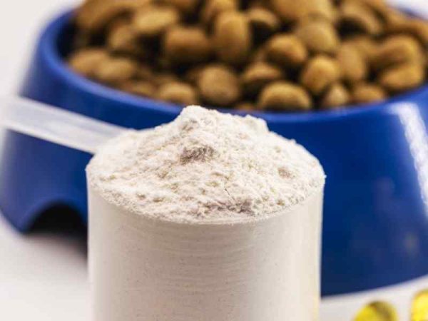 Best Zinc Sources For Dogs: Top 5 Foods To Boost Your Pet's Health